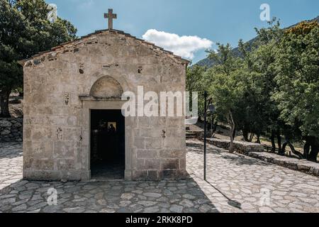 small church surrounded by high trees and colorful plants in autumn ...