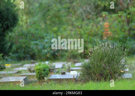 details of the south cemetery in Leipzig Stock Photo - Alamy