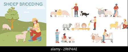 Flat set of people feeding shearing looking after sheep on farm ...