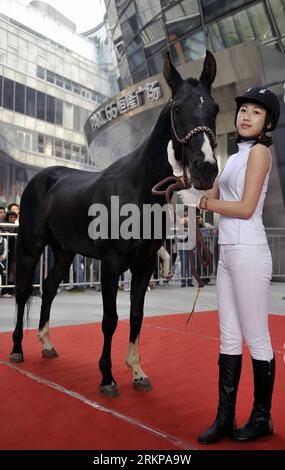 Two akhal teke breed horses, bay and chestnut, running in the field ...