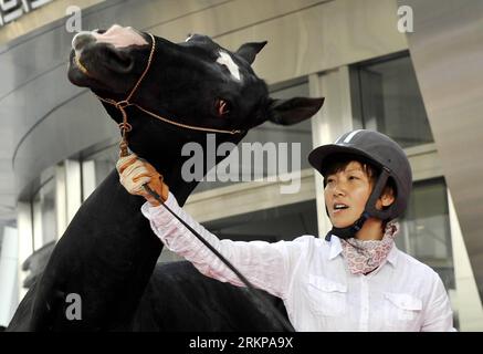 Two akhal teke breed horses, bay and chestnut, running in the field ...