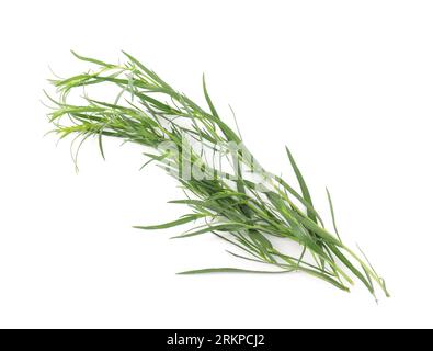 Sprigs of fresh tarragon on white background Stock Photo - Alamy
