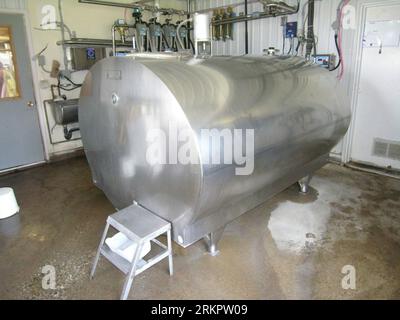 Bulk stainless steel refrigerated milk tank on a English dairy farm ...