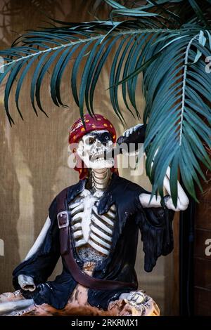 skeleton dummy of pirate drinking rum Stock Photo - Alamy