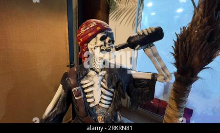 skeleton dummy of pirate drinking rum Stock Photo - Alamy