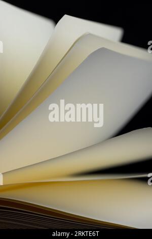 Micro of notebook pages and copy space on white background Stock Photo ...