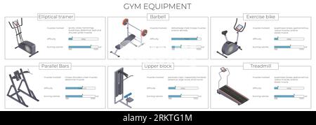 Fitness and gym training infographics presenting sport gear and ...