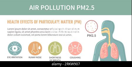 Air pollution pm2.5 particles flat infographics with editable text and ...