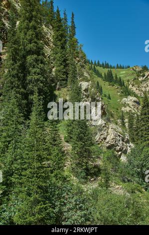 Gorge Moldo-Ashuu Rest Area , Beautiful view of the mountains ...