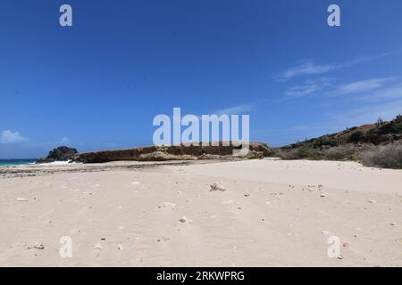 White sand Andicuri Beach on the coast of Aruba Stock Photo - Alamy