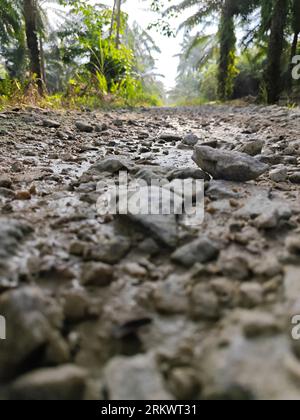 dried up puddle left with stones along the pathway Stock Photo - Alamy