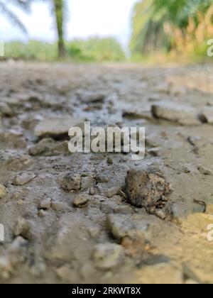 dried up puddle left with stones along the pathway Stock Photo - Alamy