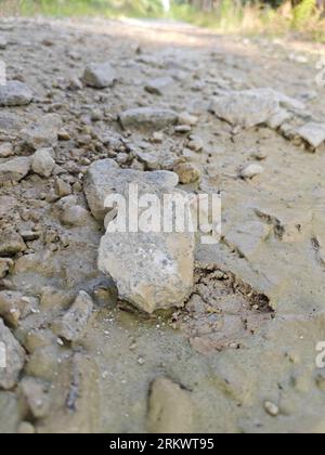 dried up puddle left with stones along the pathway Stock Photo - Alamy