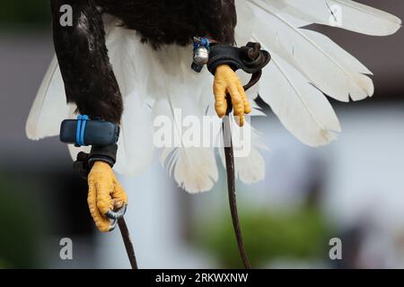 Gps tracker for bird store
