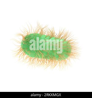 3d render illustration Escherichia Coli of Pathogenic bacterium ...
