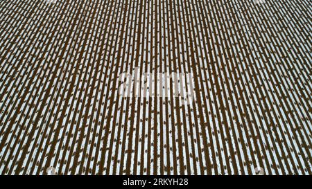 Film covered potato fields, North China, aerial photos Stock Photo - Alamy