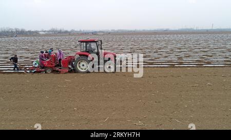 Planter in fields mulching potatoes, North China Stock Photo - Alamy