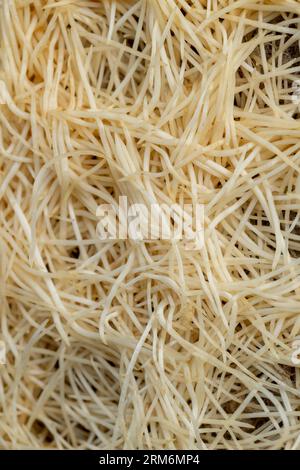 A large number of pea roots are light yellow in color, the thin root ...