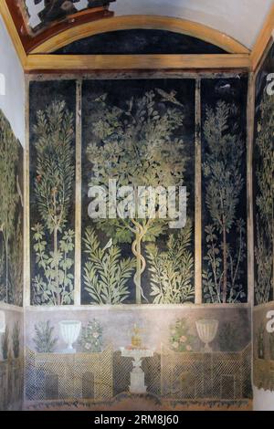 Ruins of the Casa del Frutteto in the archaeological site of Pompeii ...