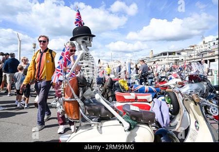 Brighton UK 27th August 2023 - This Mod is showing his age as hundreds ...