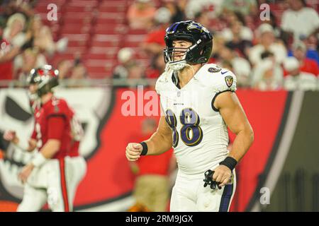 Baltimore Ravens tight end Charlie Kolar (88) takes to the field before ...