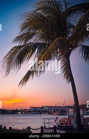 Tropical ocean sunset with boats and palm trees silhouette in Punta ...