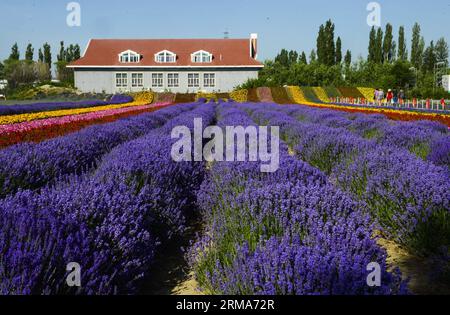 Tourists visit lavender fields in Huoerguosi Village, Huocheng County ...