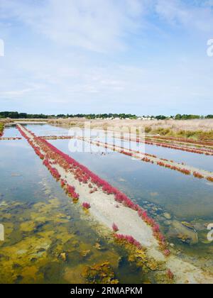 Saltern - île de Noirmoutier Stock Photo - Alamy