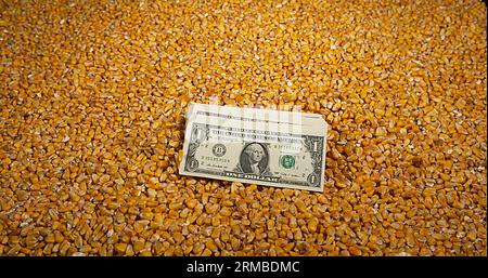 Corn and Flying Dollar Bank Notes Stock Photo - Alamy