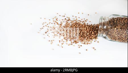 Coriander, coriandrum sativum, seeds falling against White Background Stock Photo - Alamy