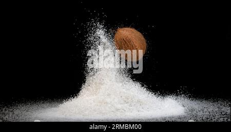 Coconut, cocos nucifera, Fruit and Powder Exploding against Black ...