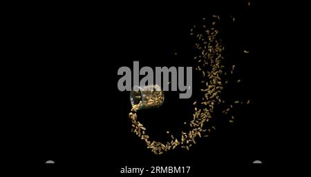 Cardamom, elettaria Cardamomum, spice falling against Black Background ...