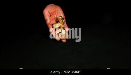 Hand and Gold Nuggets, Nugget, Falling on Black Background Stock Photo ...
