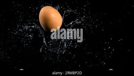 Egg Falling on Water against Black Background Stock Photo - Alamy