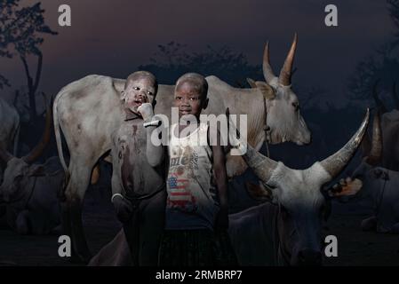 Mundari children with cows in Mundari camp at night Stock Photo - Alamy