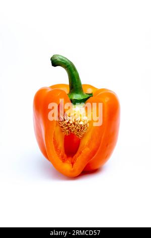Anatomy of pepper Stock Photo - Alamy