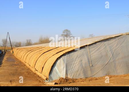 vegetable greenhouse in rural areas, north china Stock Photo - Alamy