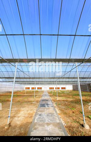 vegetable greenhouse internal structure, Uncultivated land, north china ...