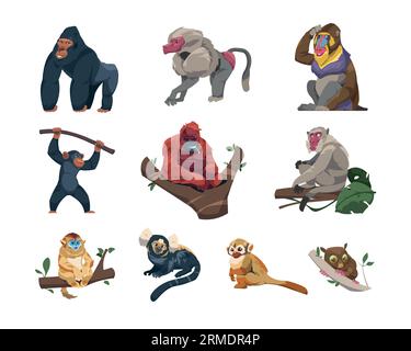 Cute monkey character in different poses. Vector set of cartoon chat ...