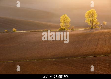 Trees in the fields of Turiec region in northern Slovakia Stock Photo ...