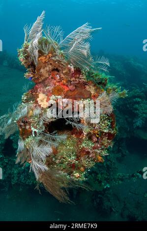 Coral-covered turret, Liberty Wreck dive site, Tulamben, Karangasem ...