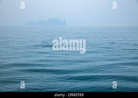 A flock of whale sharks swim among the tourist boats. The azure sea ...