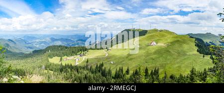 High view panorama from rarau mountains, in Romania, with fir trees ...
