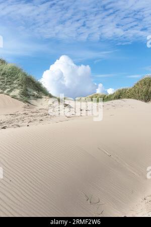 Low angle view of sand dune in the Råbjerg Mile which is a migrating or ...