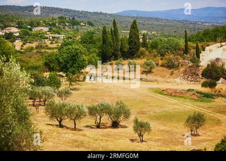 Aerial scenic Mediterranean landscape with cypresses, olive trees and ...