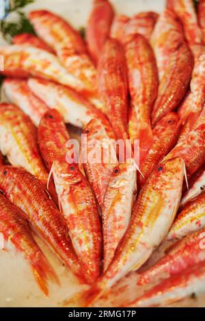Many surmullets on fish market in Paris, France Stock Photo - Alamy