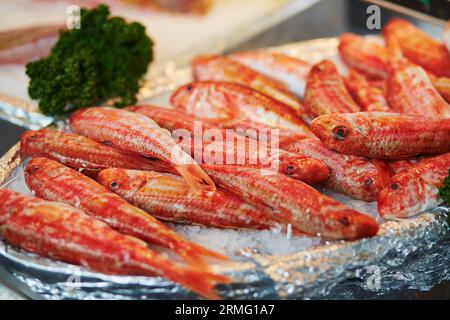 Many surmullets on fish market in Paris, France Stock Photo - Alamy