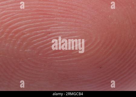 Friction ridges on finger as background, macro view Stock Photo - Alamy