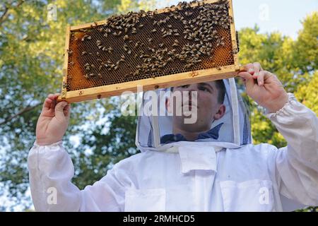 child beekeeper teen boy Stock Photo - Alamy