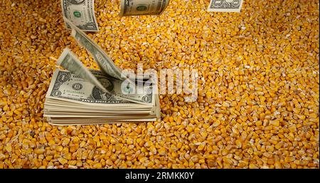 Corn and Flying Dollar Bank Notes Stock Photo - Alamy